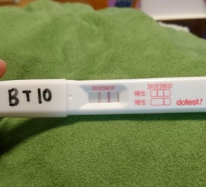 胚盤胞移植5回目 BT10判定日(BT6、BT10フライング画像あり) | 4年間の不妊治療とその後の日常を綴るブログ